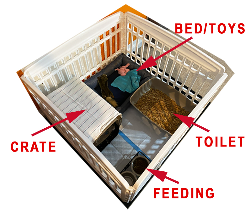 Choosing a Dog Pen: Complete Guide (Size and Type) - HoundGames