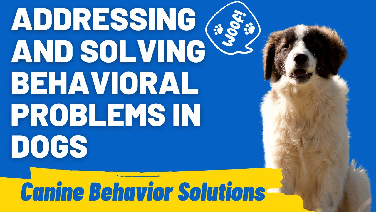 Canine Behavior Solutions for Dog Problems - HoundGames